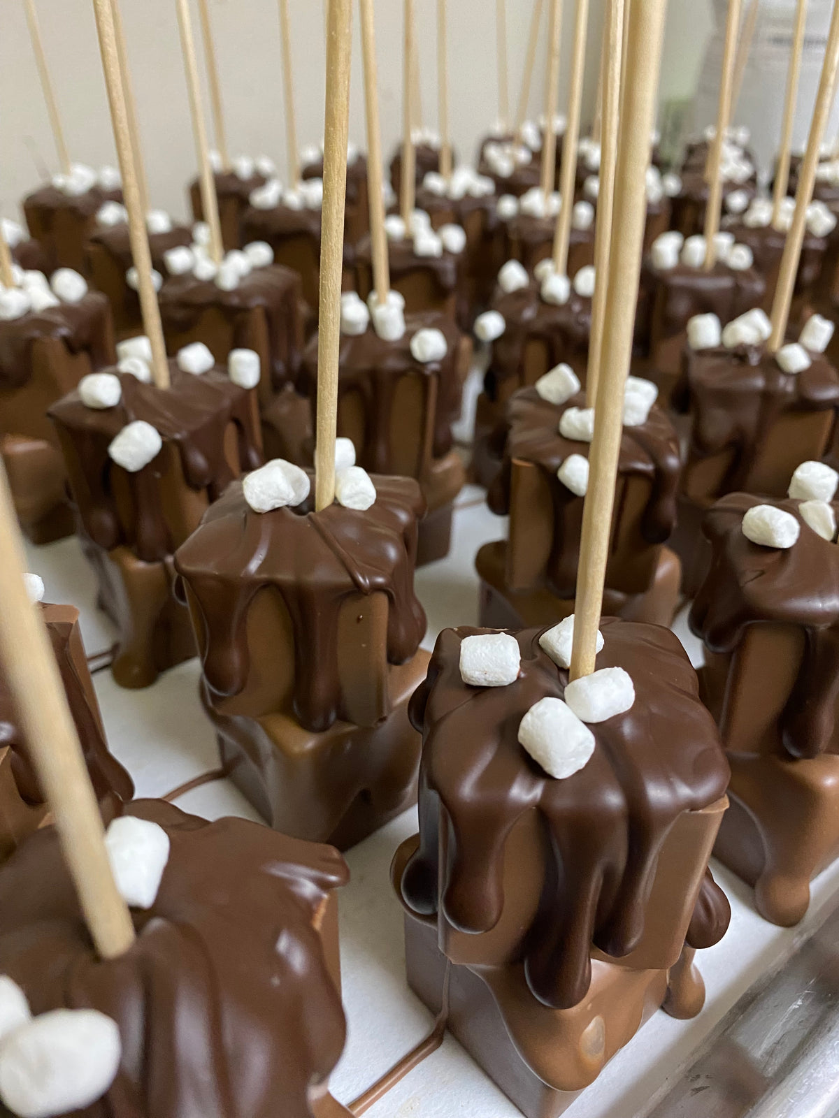 Products - Water's Edge Chocolates, Inc.